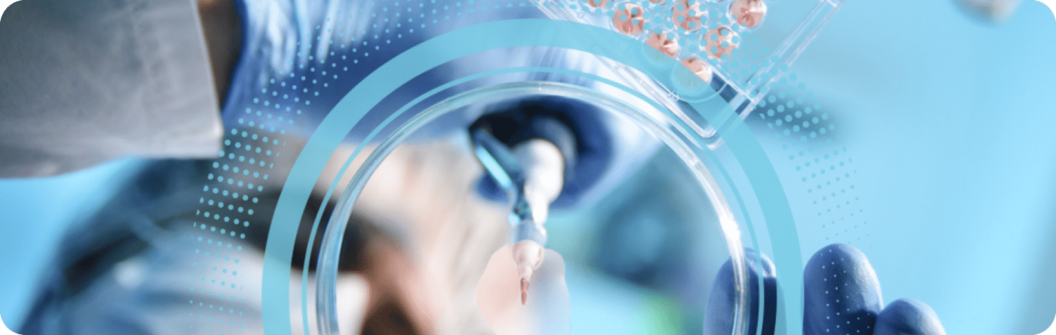 Dofinity | Technology, Creativity, People